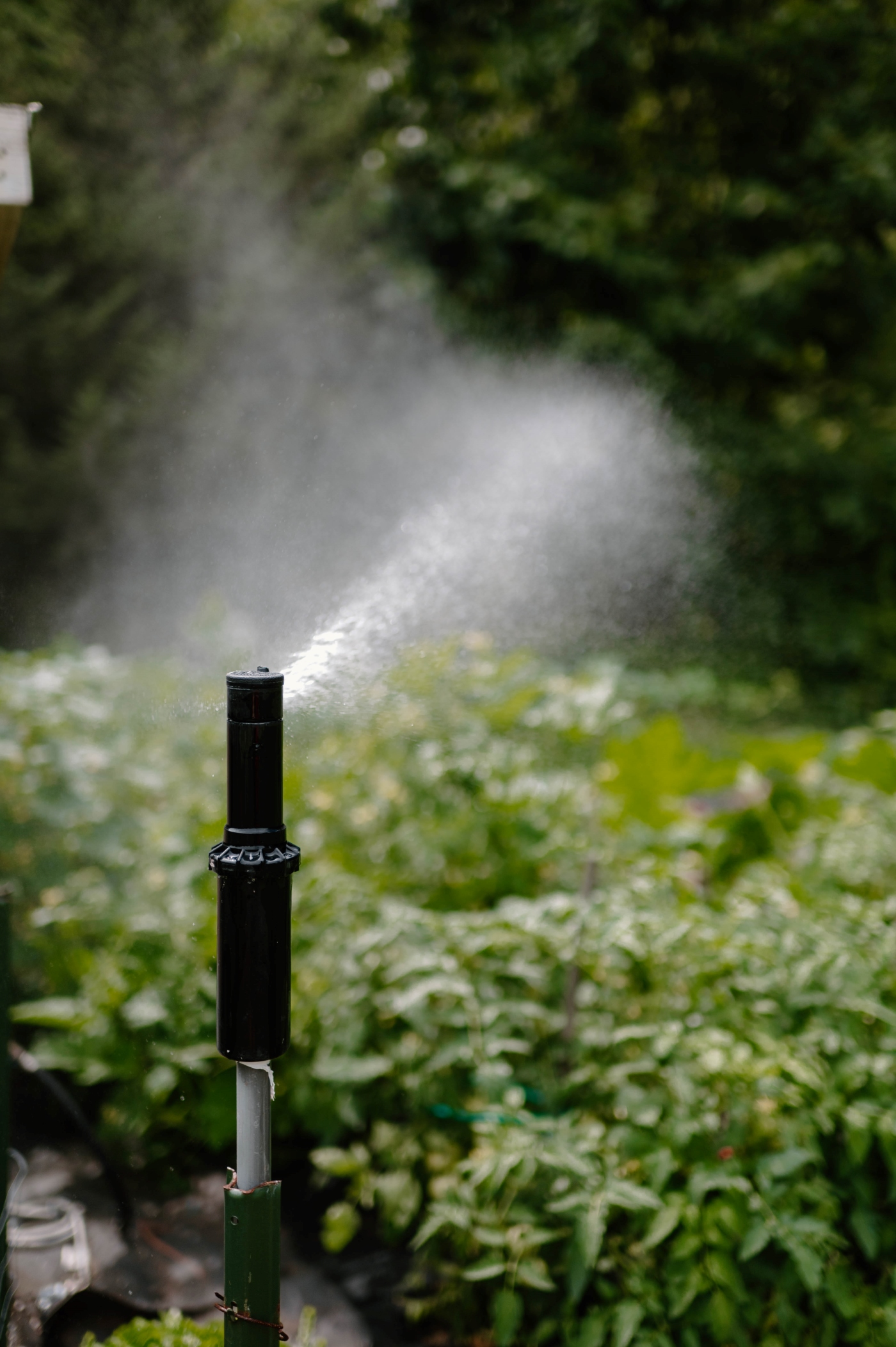 Hydro-Wise - Wilde Companies